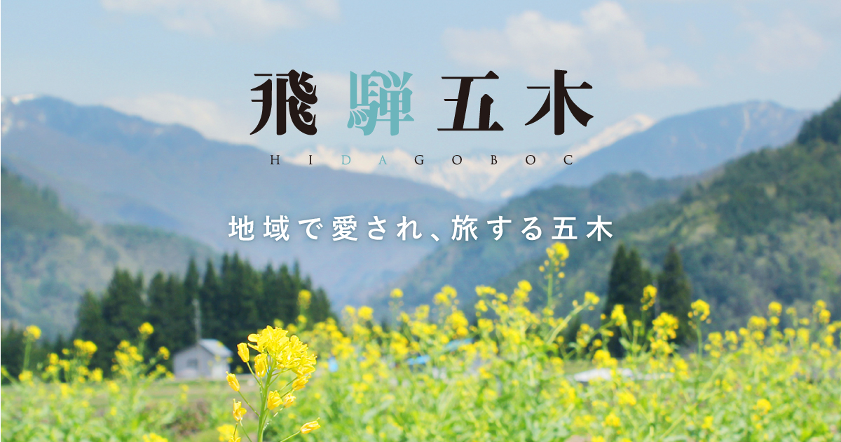 森について楽しく学べる「FOREST BALANCE GAME」と森の教育サービスが始動しました！｜岐阜県高山市の飛騨五木